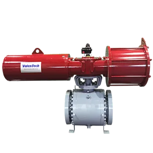 Pneumatic & Electric Actuator with Complete Equipment | Manufacturer